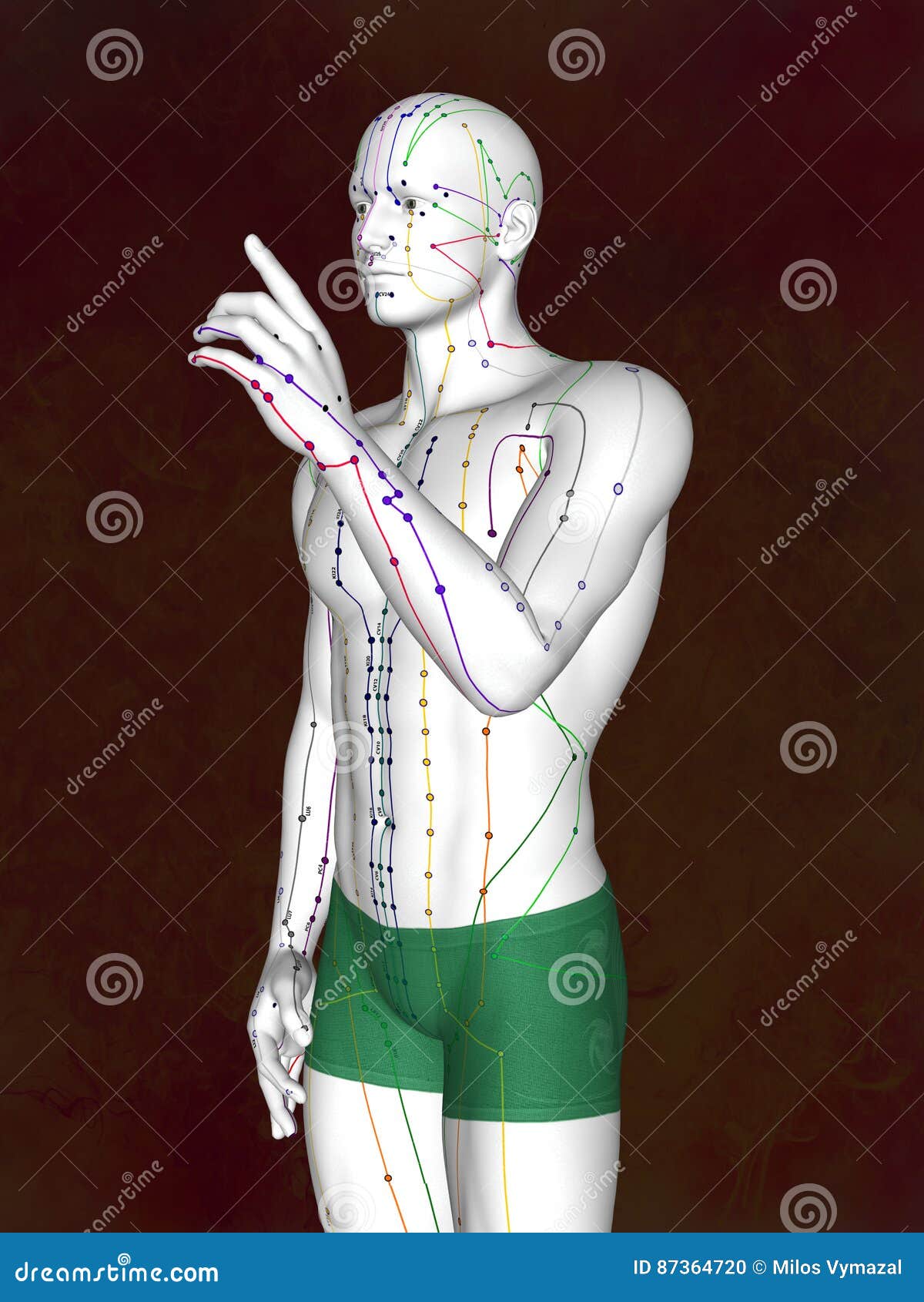 Acupuncture Model M-POSE EHP-02-7, 3D Illustration Stock Illustration ...
