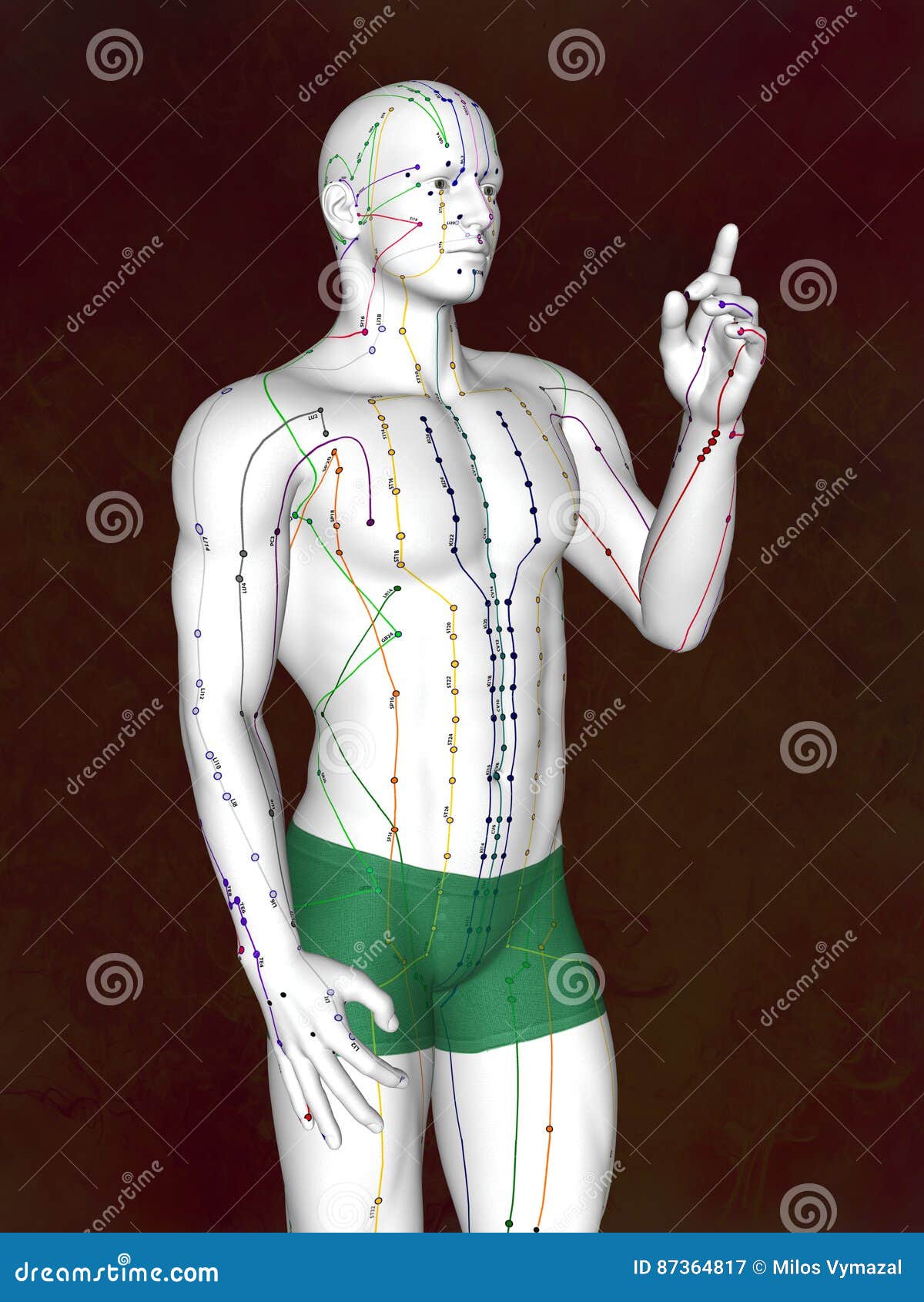 Acupuncture Model M-POSE EHP-02-2, 3D Illustration Stock Illustration ...