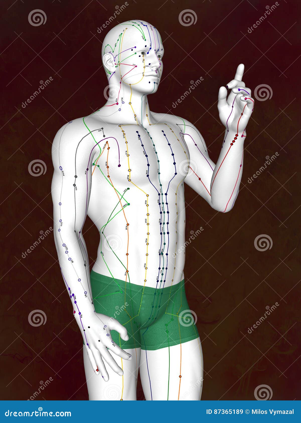 Acupuncture Model M-POSE EHP-02-8, 3D Illustration Stock Illustration ...