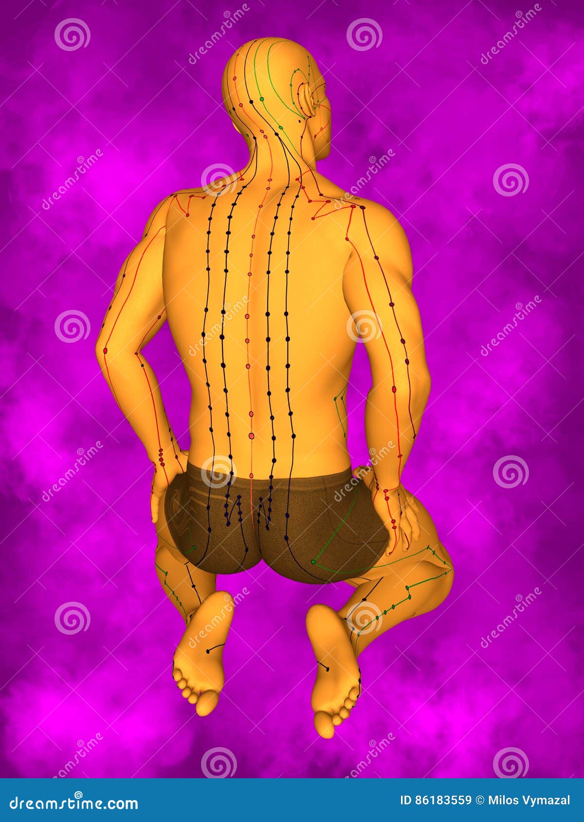 Acupuncture Model M-POSE FBHM-405-4, 3D Model Stock Illustration ...