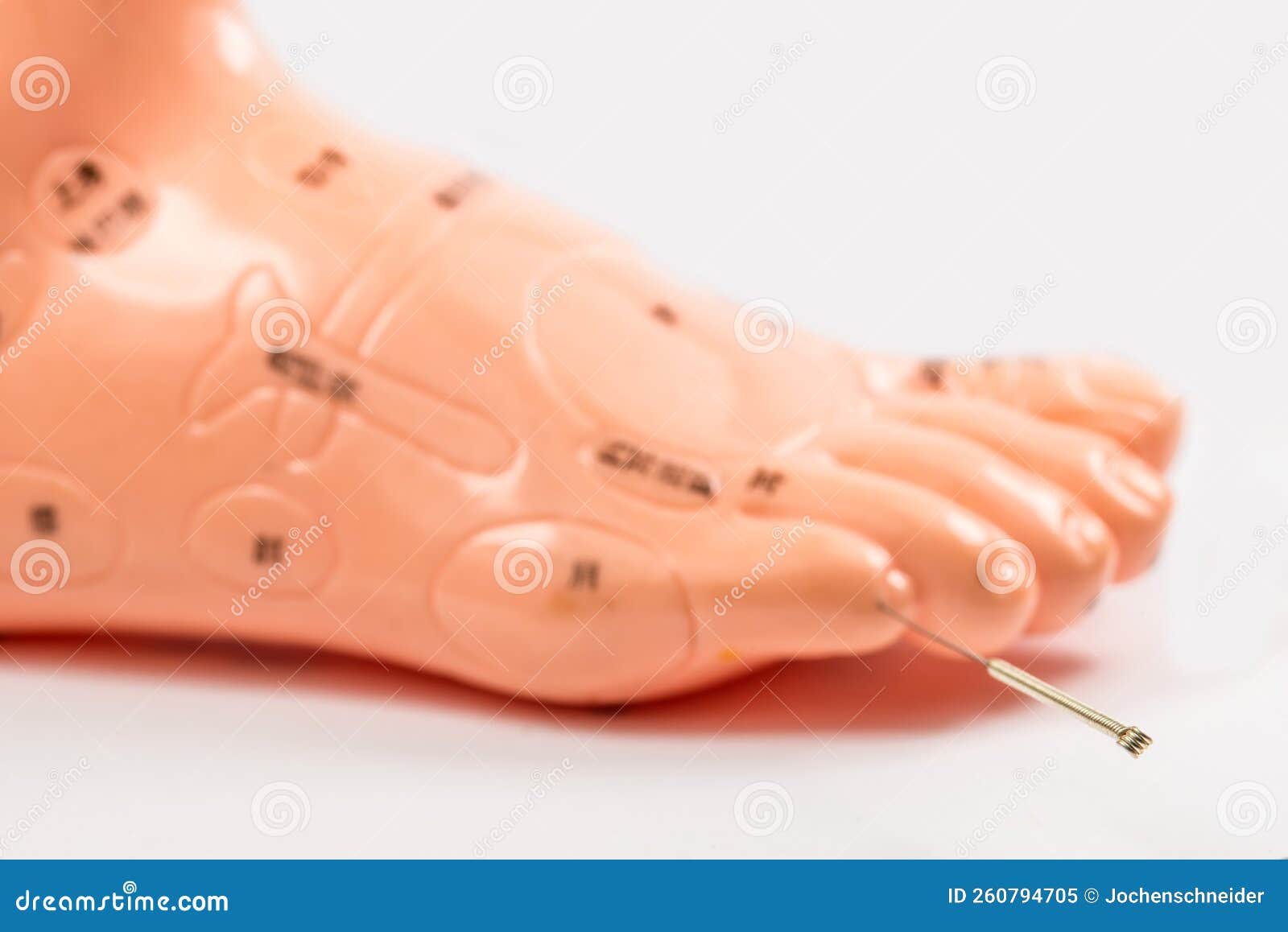 Acupuncture Foot Meridian Points Royalty-Free Stock Image ...