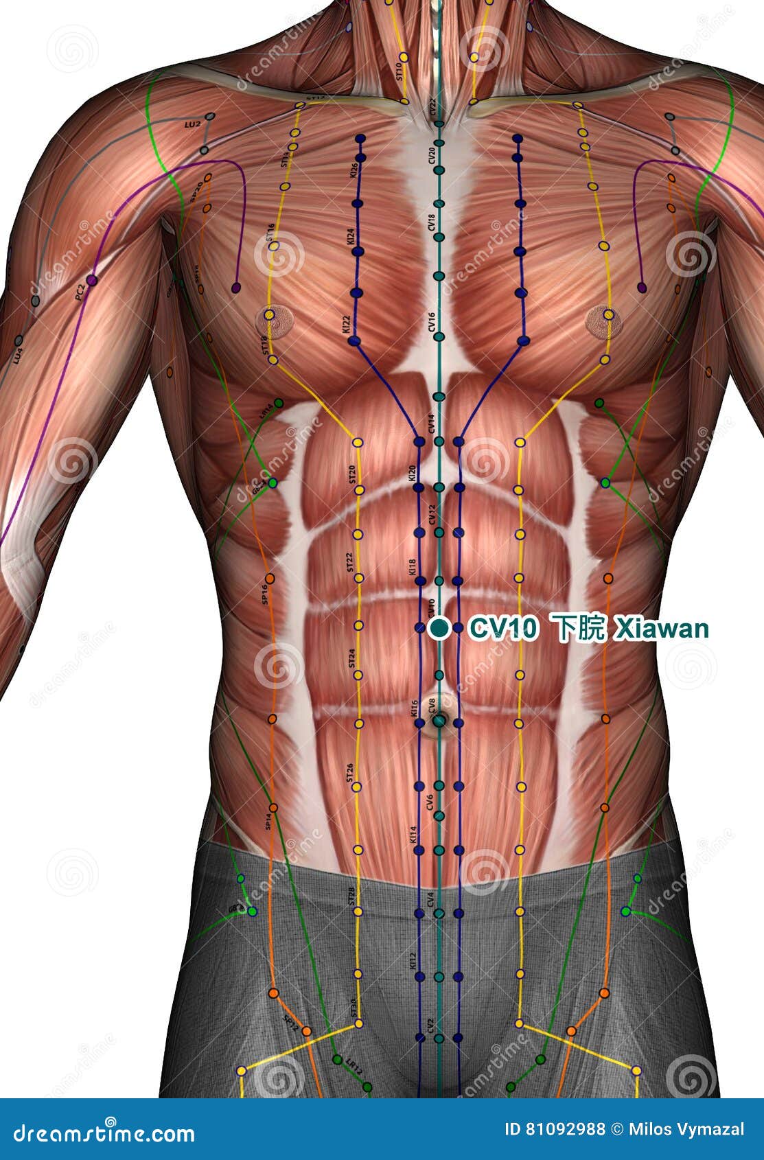 Cv10 Stock Illustrations – 2 Cv10 Stock Illustrations, Vectors ...