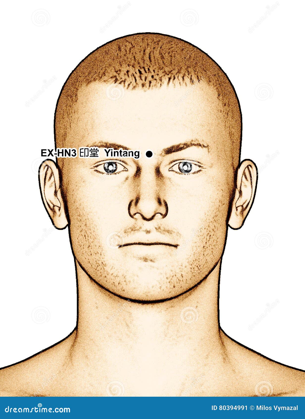 Point Drawing And Coloring Page With Bunny Vector Illustration ...