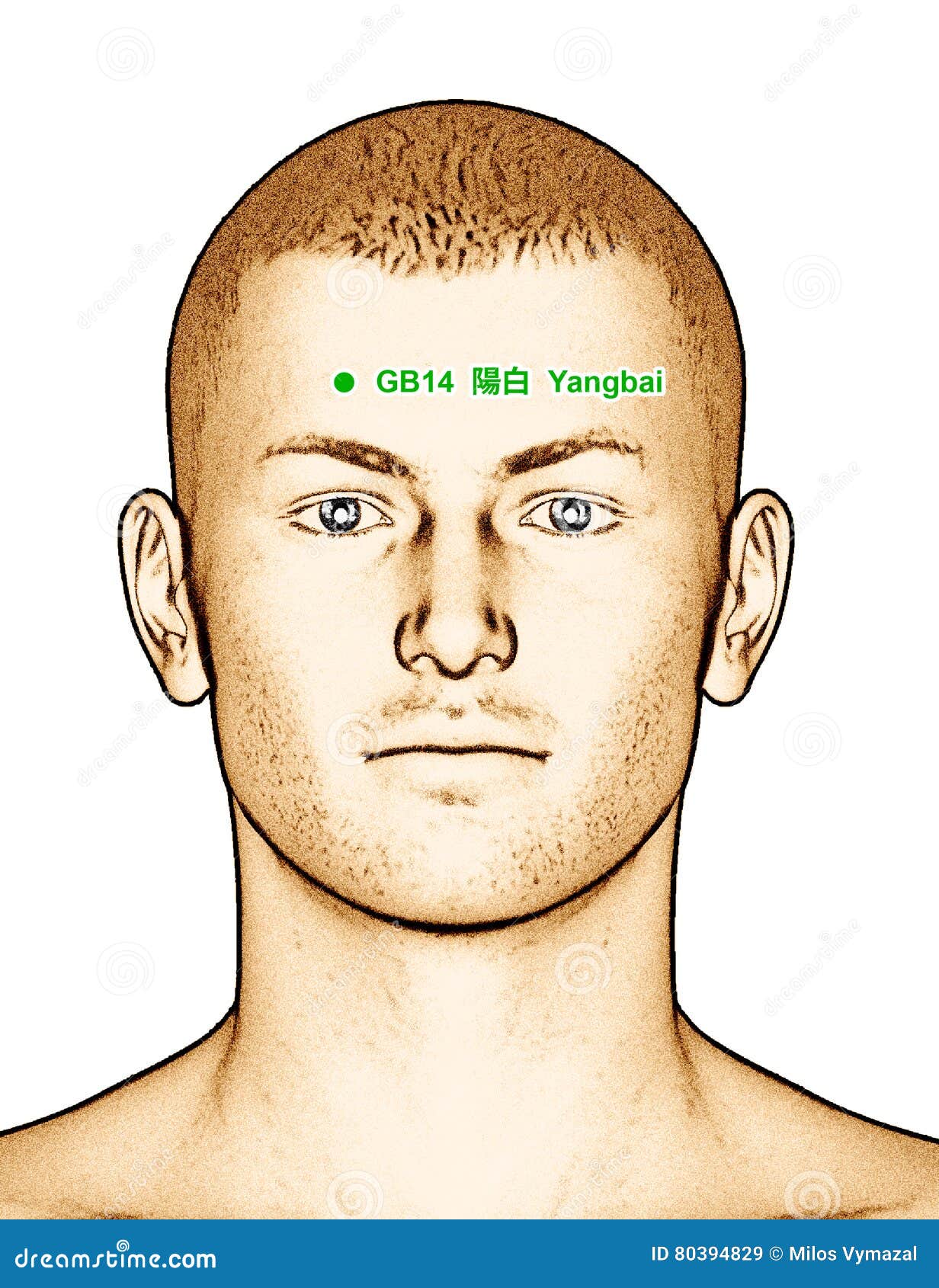 Point Drawing And Coloring Page With Bunny Vector Illustration ...