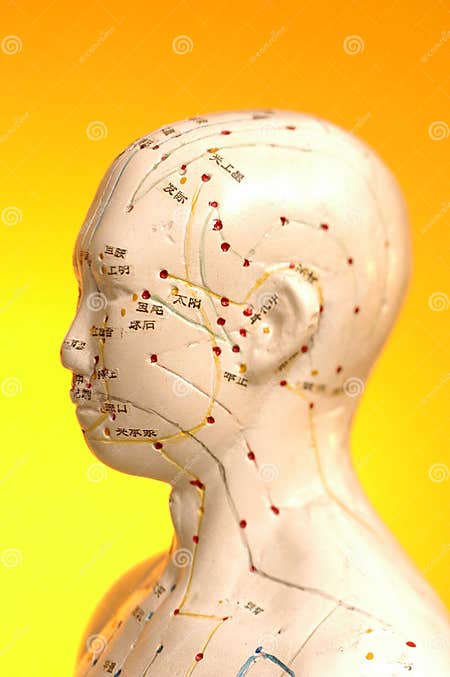 Acupuncture Points and Meridians Stock Photo - Image of face ...