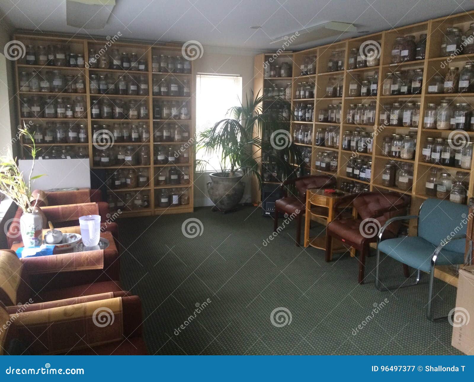 Acupuncturist office stock image. Image of medicine, acupuncturist ...