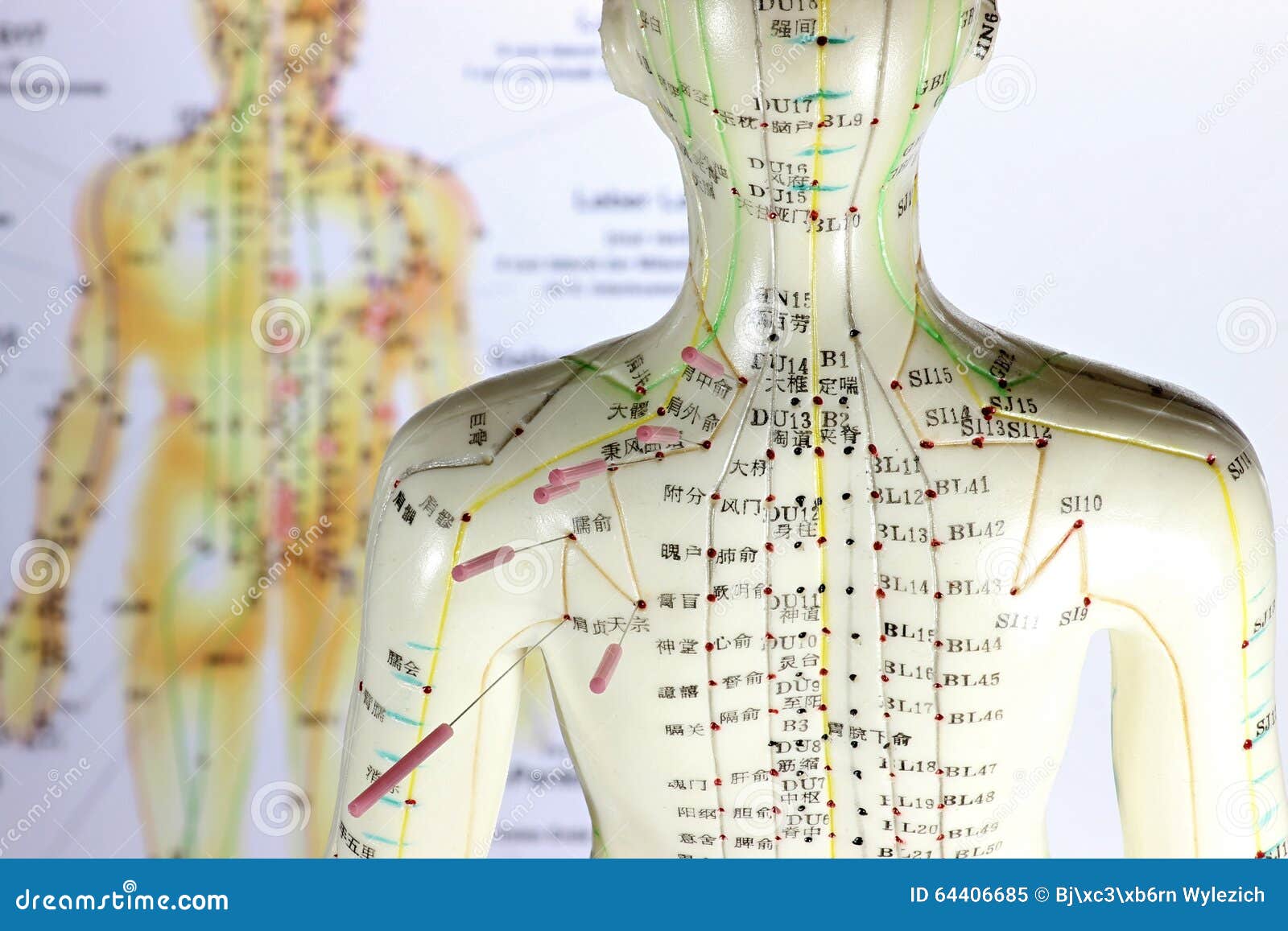 Acupunctuur model#02 stock afbeelding. Image of gekwetst - 64406685