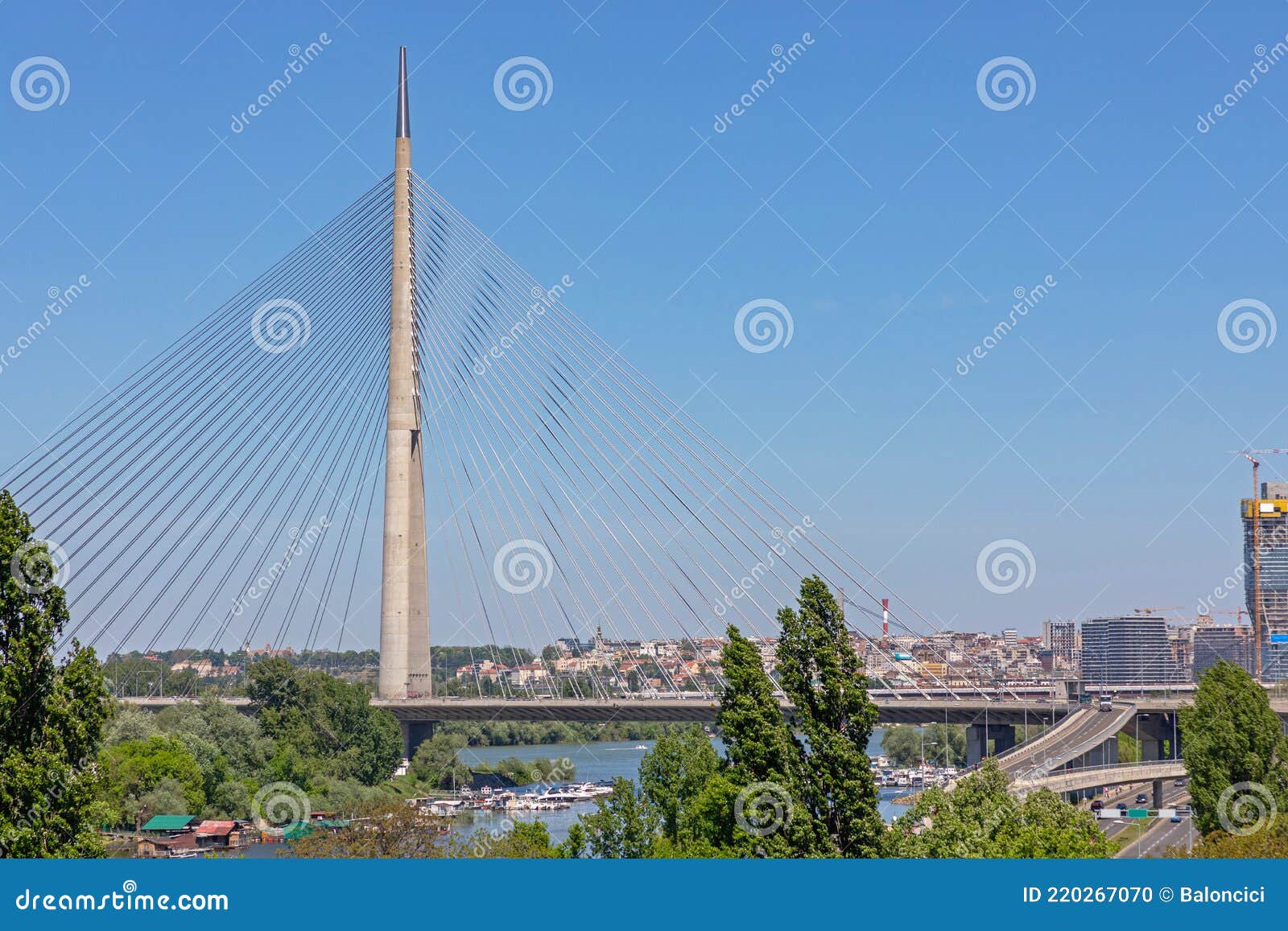 Ada Bridge. Belgrade Royalty-Free Stock Photo | CartoonDealer.com #43249269