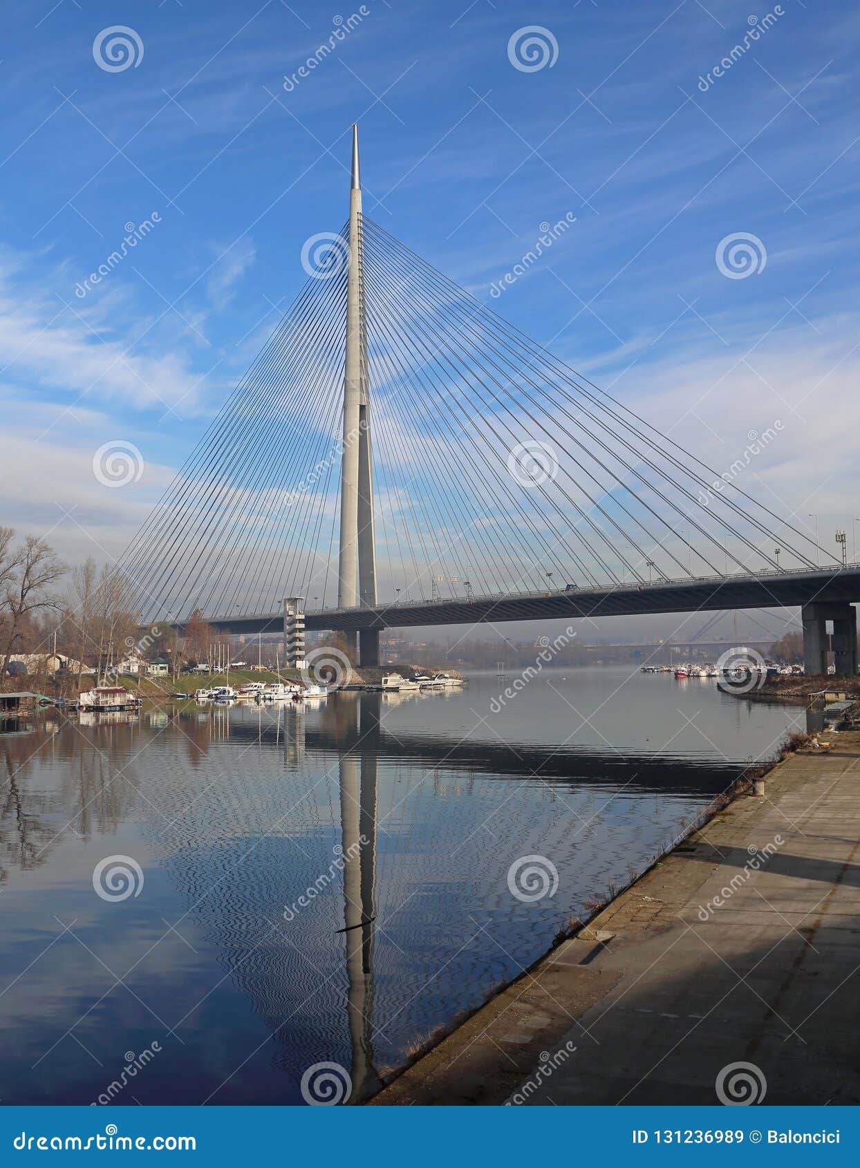 Ada Bridge Belgrade stock image. Image of landmark, suspension - 131236989