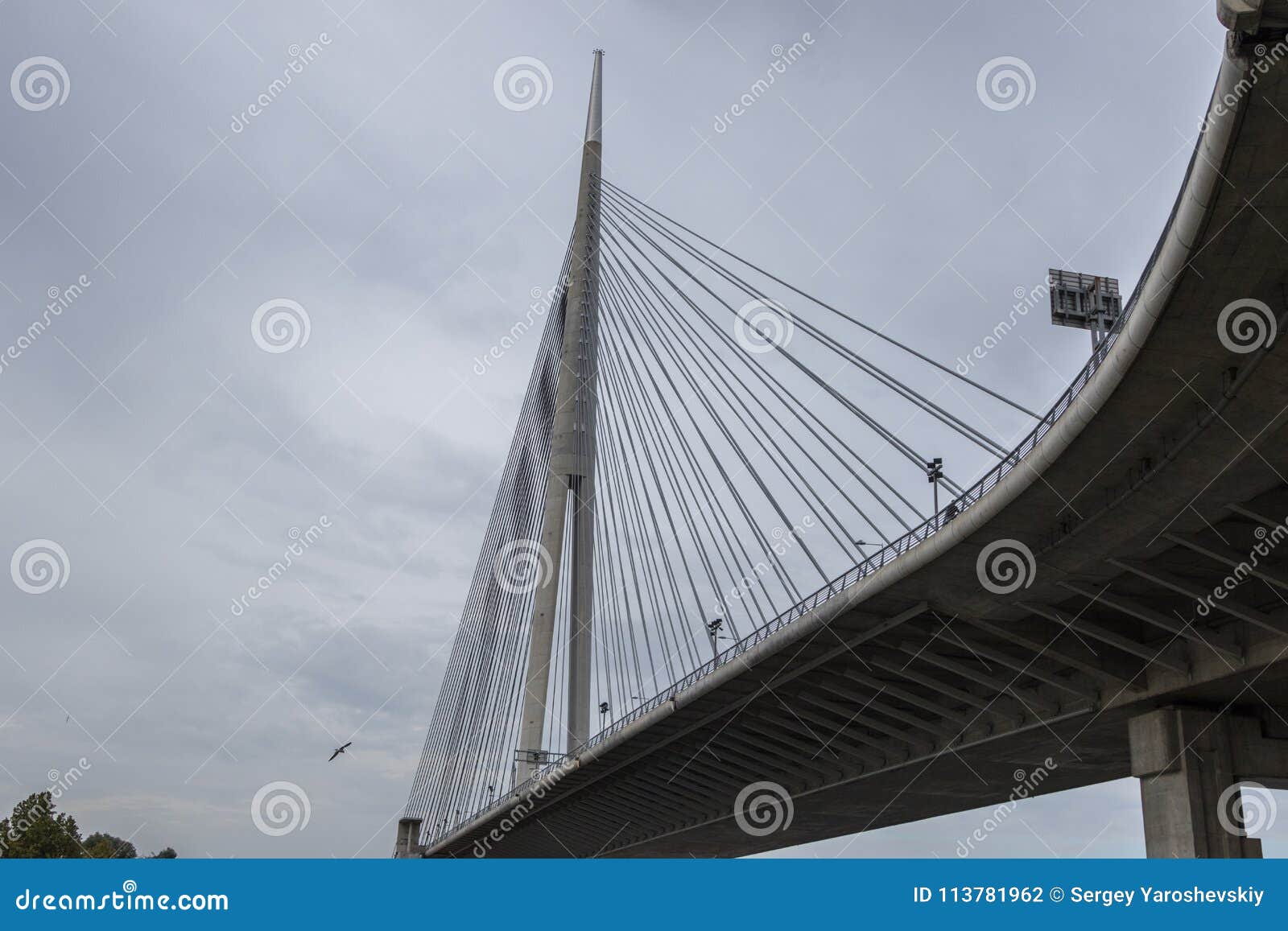 Ada bridge in Belgrade stock photo. Image of architecture - 113781962
