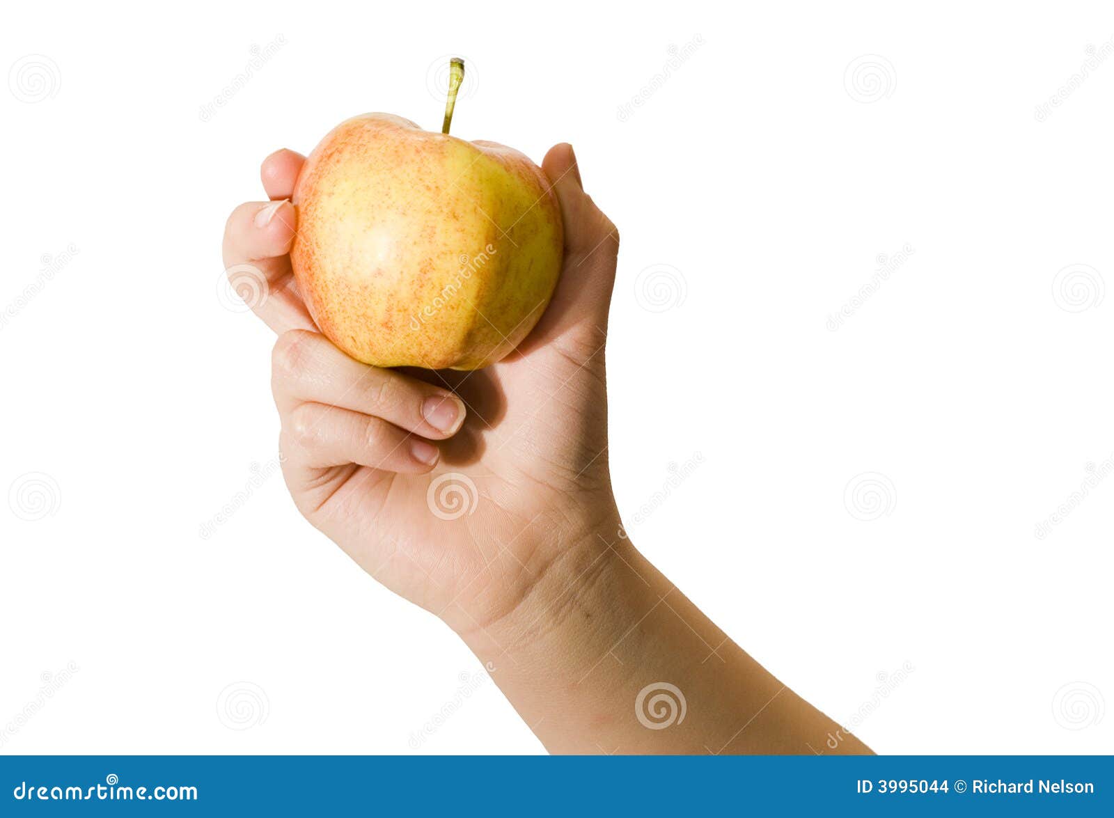 Adam s Apple stock photo. Image of bible, tasty, adam - 3995044
