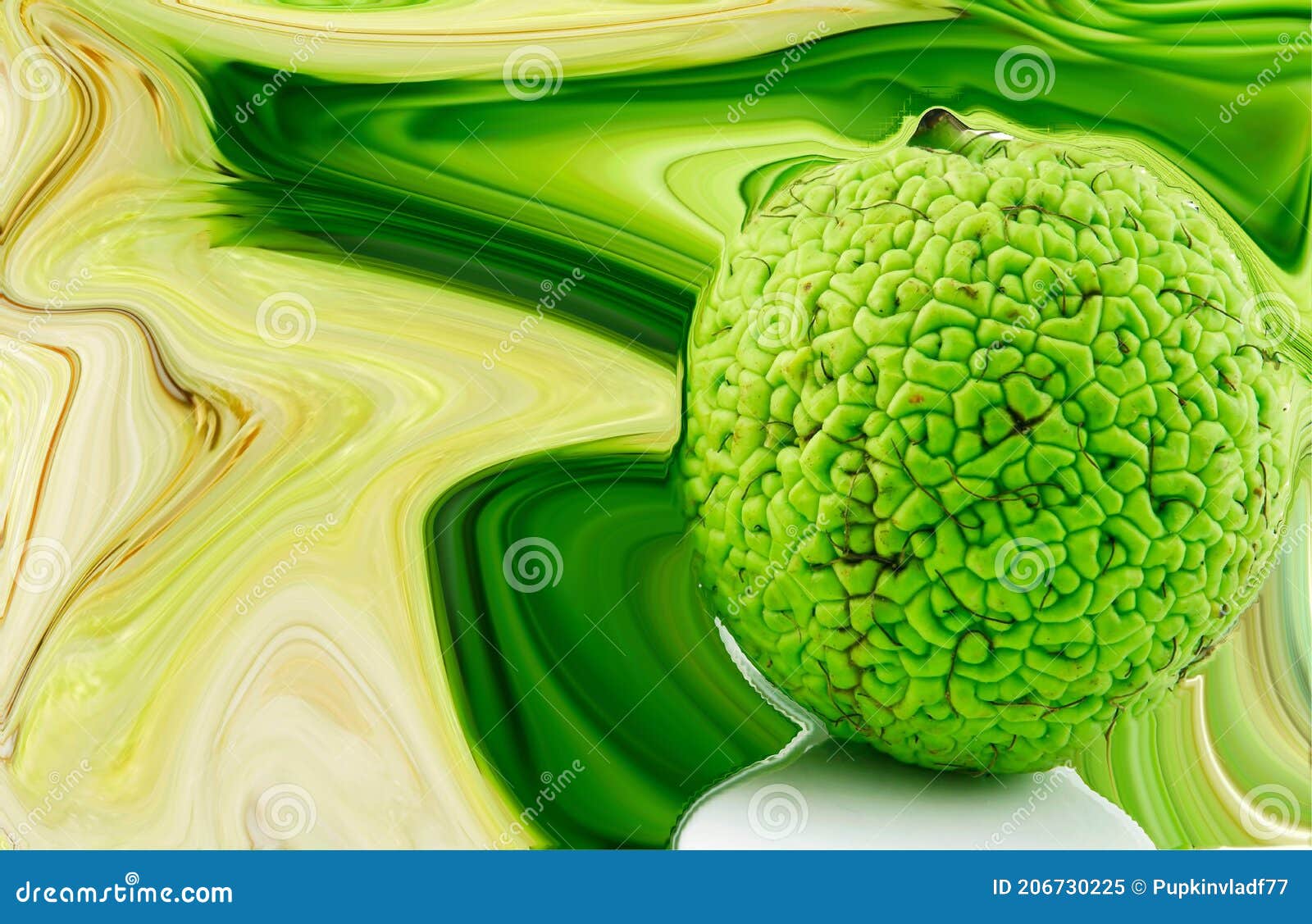 Adams apple imagen de archivo. Imagen de arte, hoja - 206730225