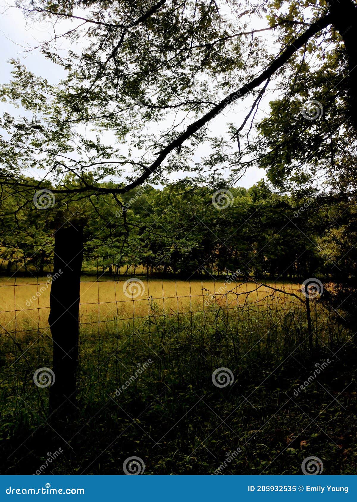 Adams county ohio stock image. Image of meadow, landscape - 205932535