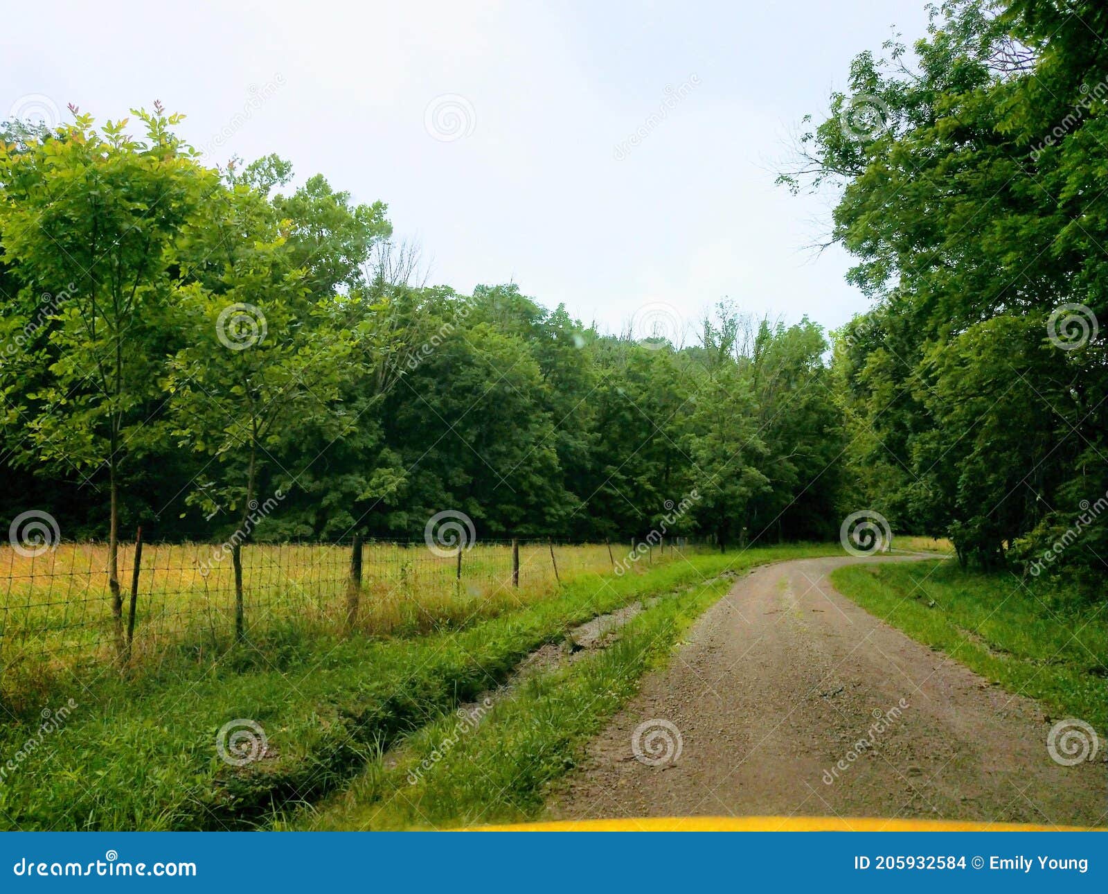 Adams county ohio stock photo. Image of shrub, hill - 205932584