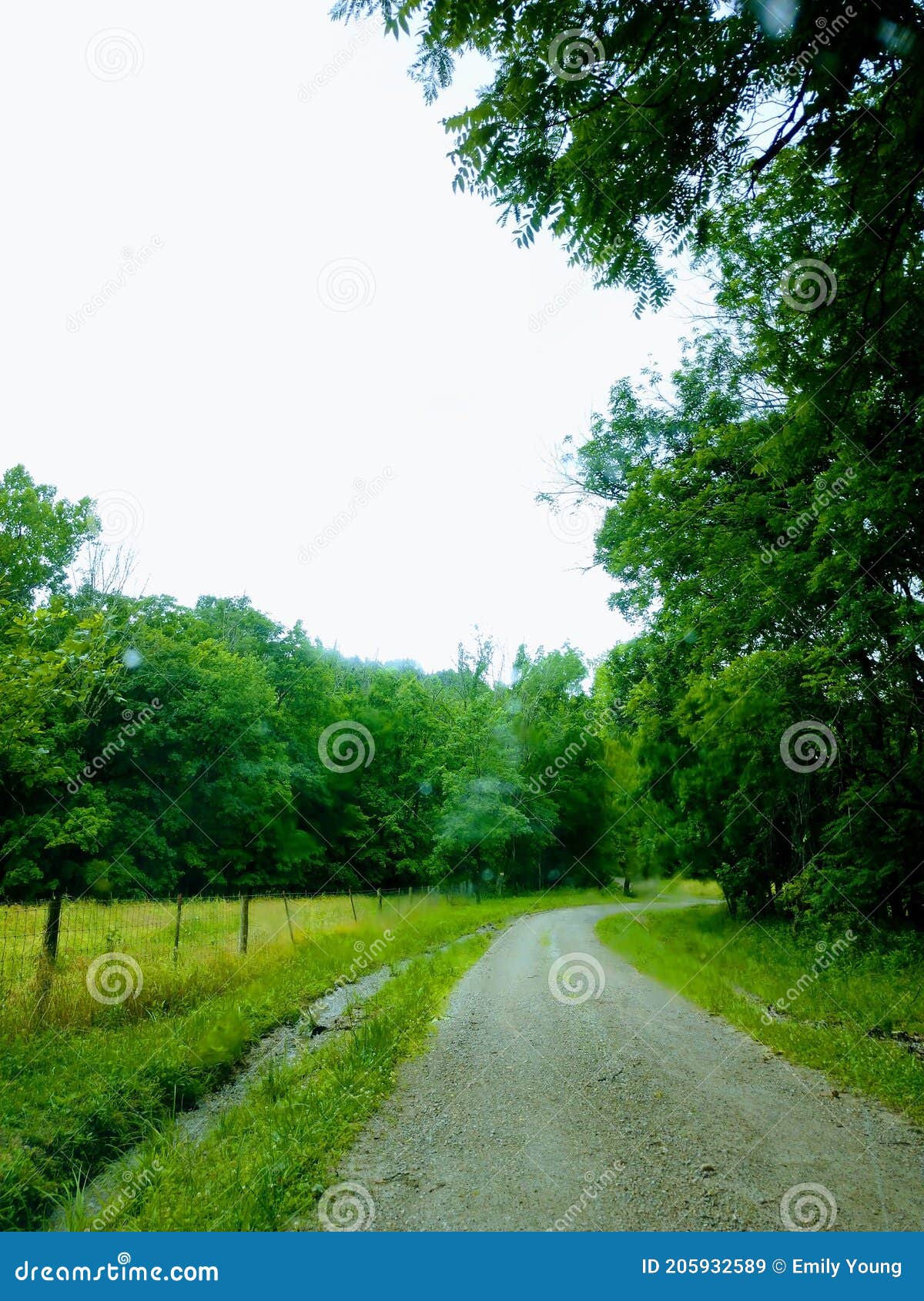 Adams county ohio stock image. Image of meadow, morning - 205932589