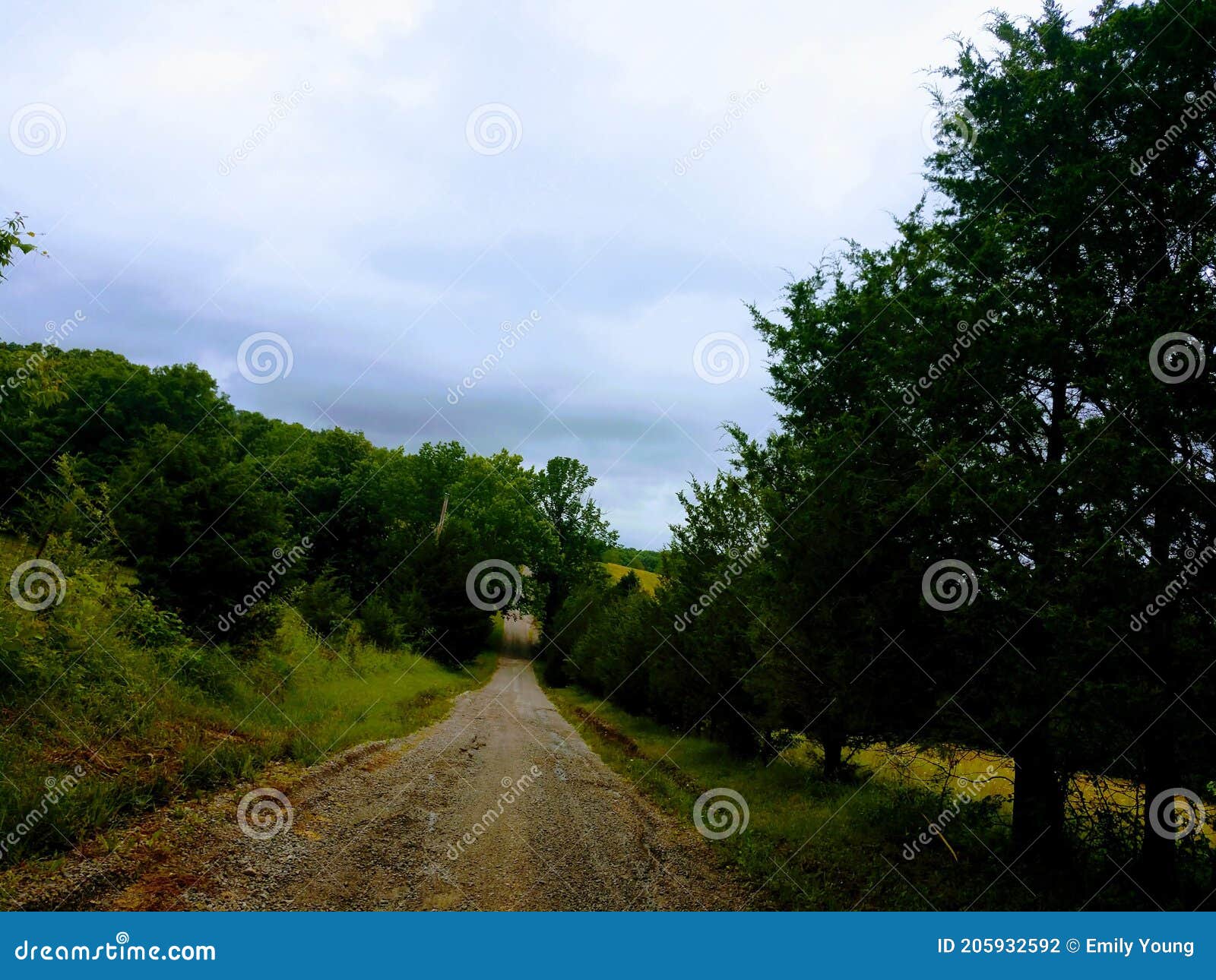 Adams county ohio stock photo. Image of nature, soil - 205932592