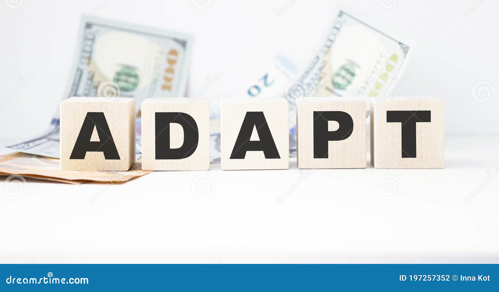 ADAPT Word Made with Building Blocks Stock Photo - Image of profit ...