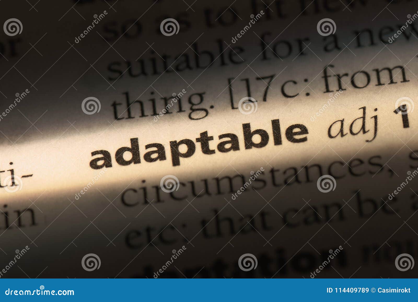 Adaptable imagen de archivo. Imagen de inglés, palabra - 114409789