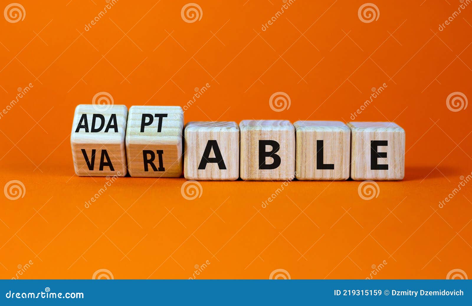 Adaptable or Variable Symbol. Turned Wooden Cubes and Changed the Word ...