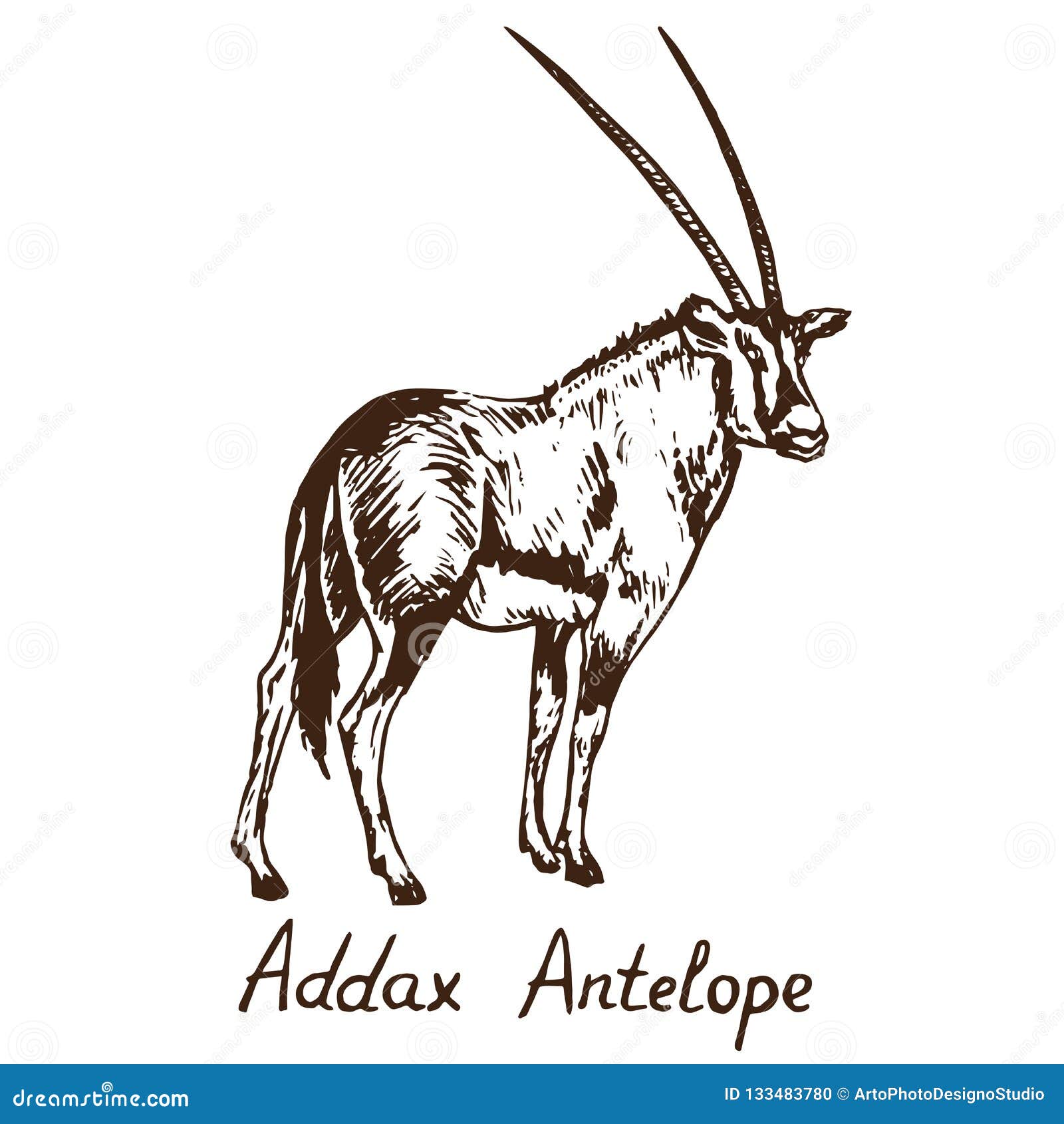 Addax Vector Illustration Logo Design | CartoonDealer.com #249774514