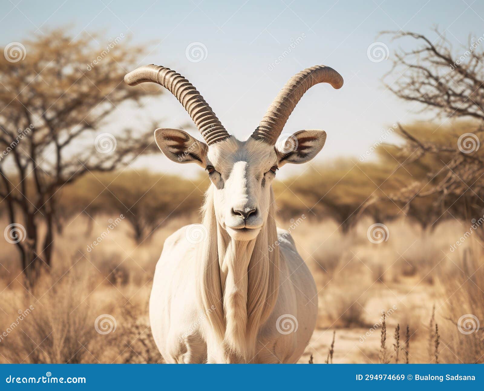 Addax Made With Generative AI Illustration Royalty-Free Cartoon ...