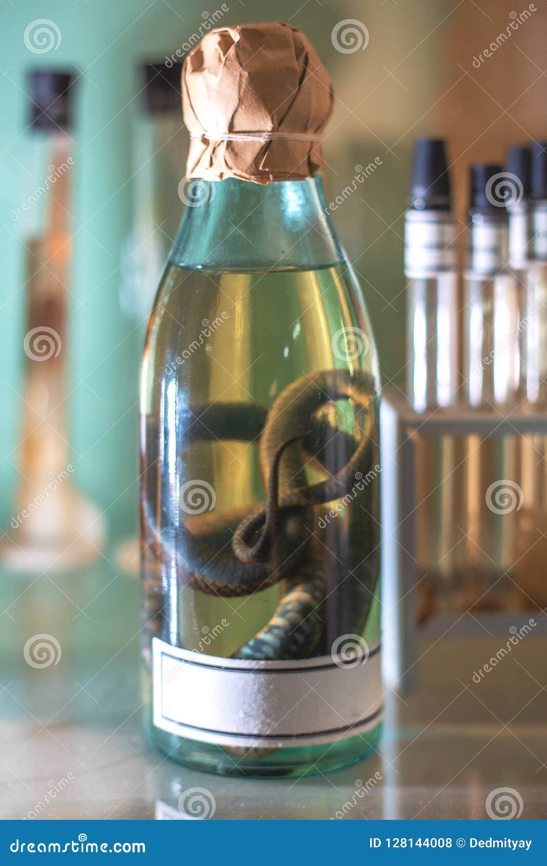 Adder Snake with Liquid Formaldehyde in Bottle As Sample or Specimen in ...