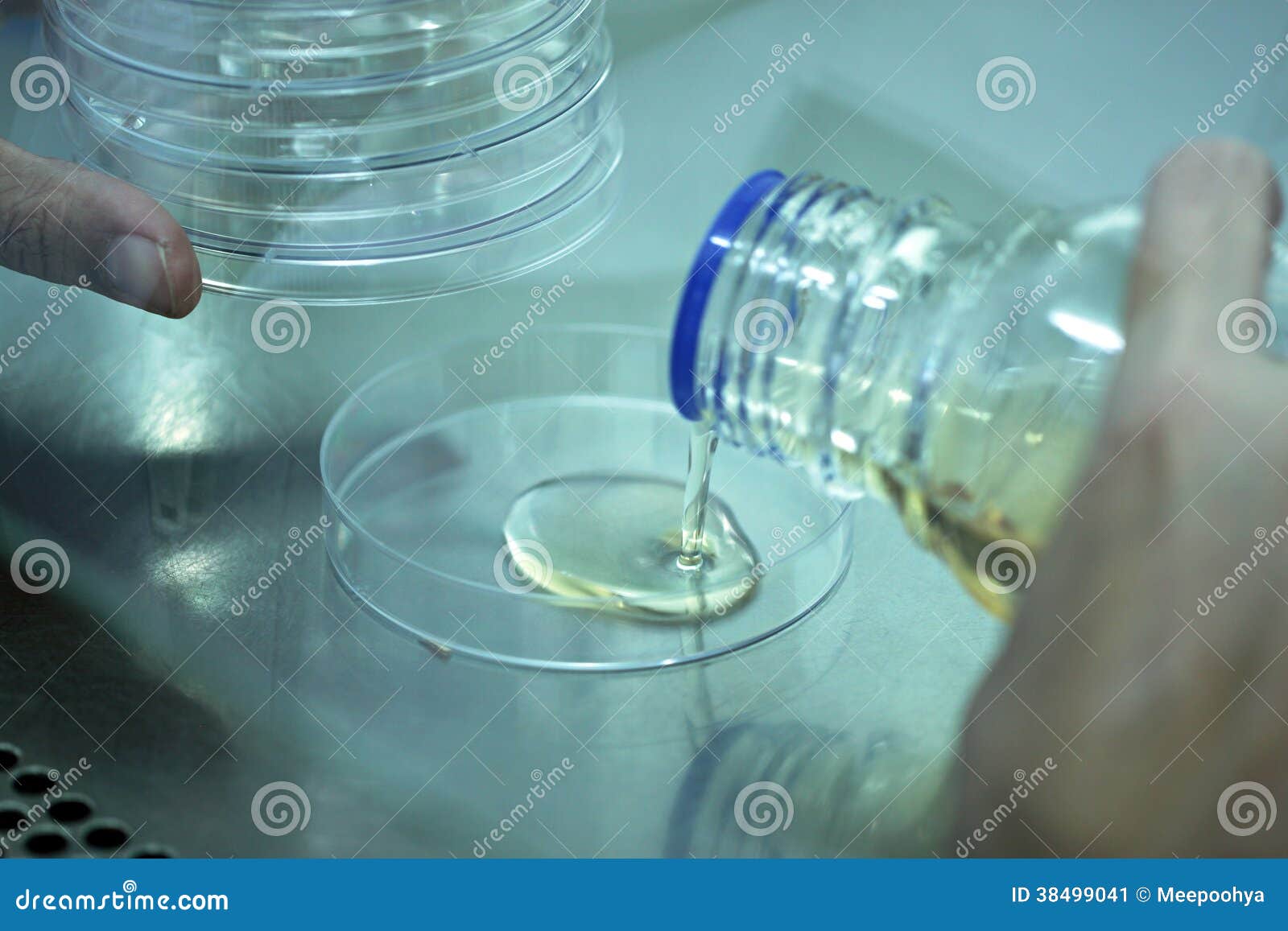 Adding Agar Fluid from Bottle To Test Tubes. Stock Image - Image of ...