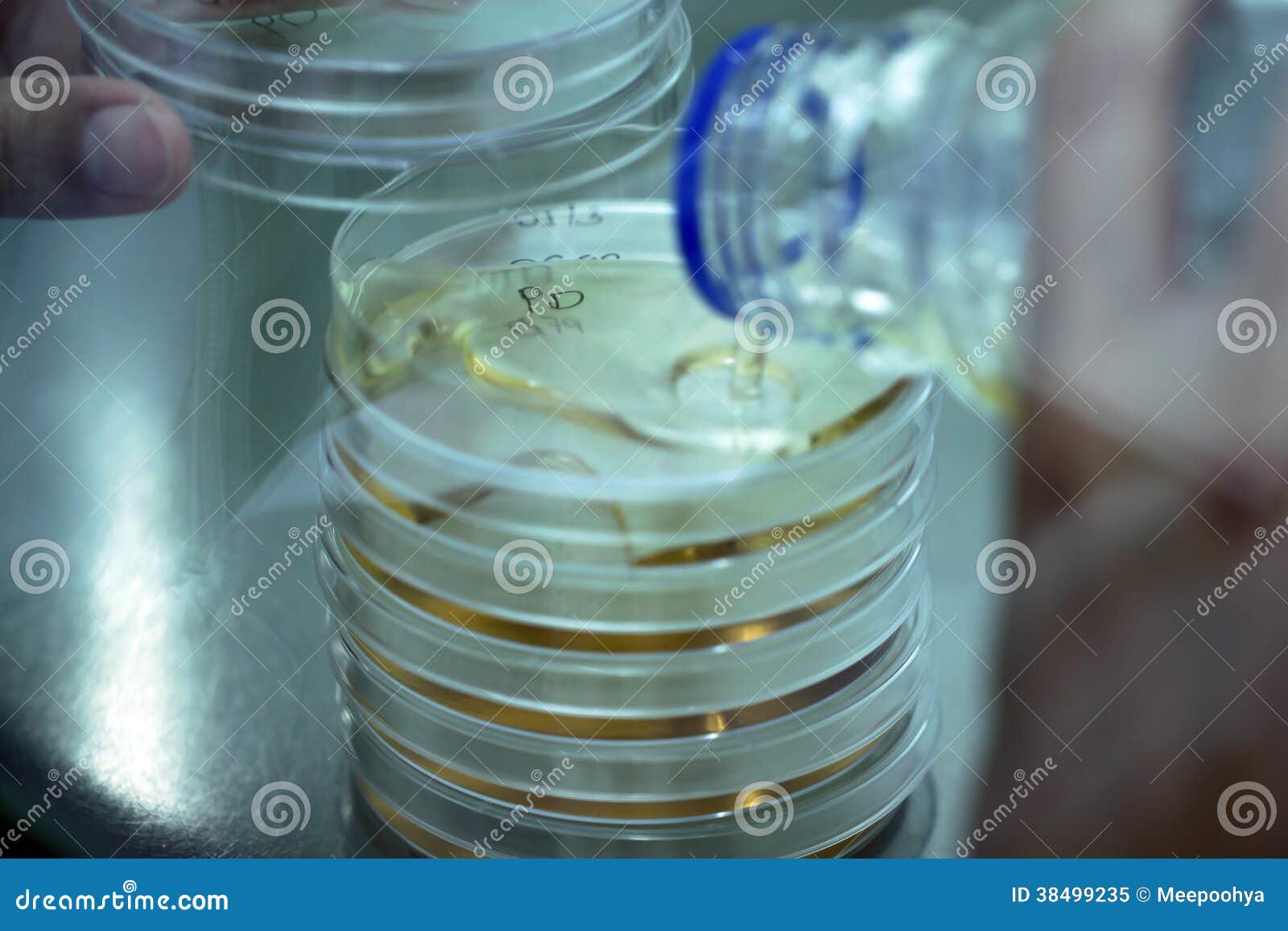 Adding Agar Fluid from Bottle To Test Tubes. Stock Image - Image of ...