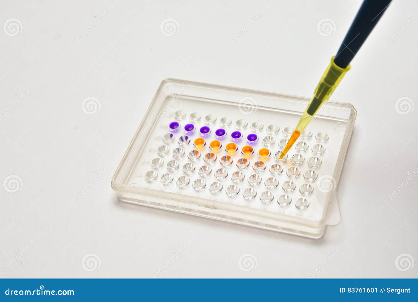 Adding a Biological Sample Pipette. Stock Image - Image of ...