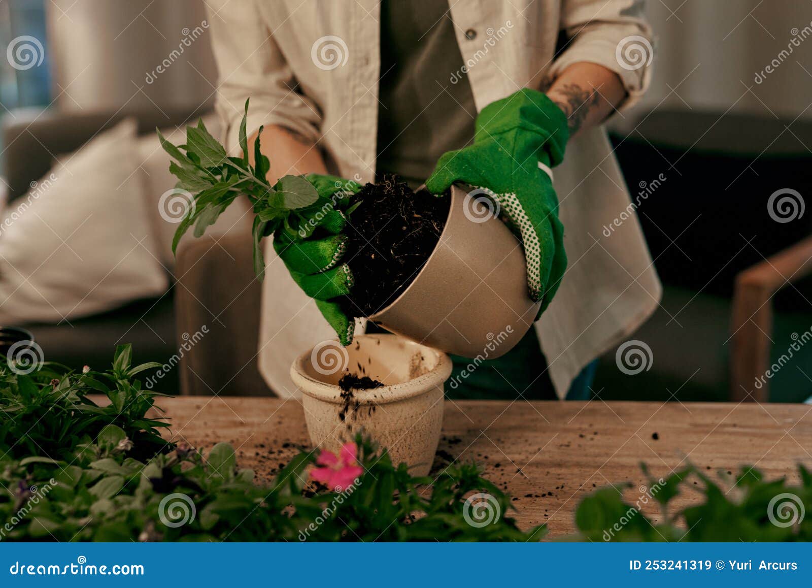 Adding My Magic Potting Soil To the Mix. an Unrecognizable Florist ... Adding My Magic Potting Soil To the Mix. an Unrecognizable Florist ...