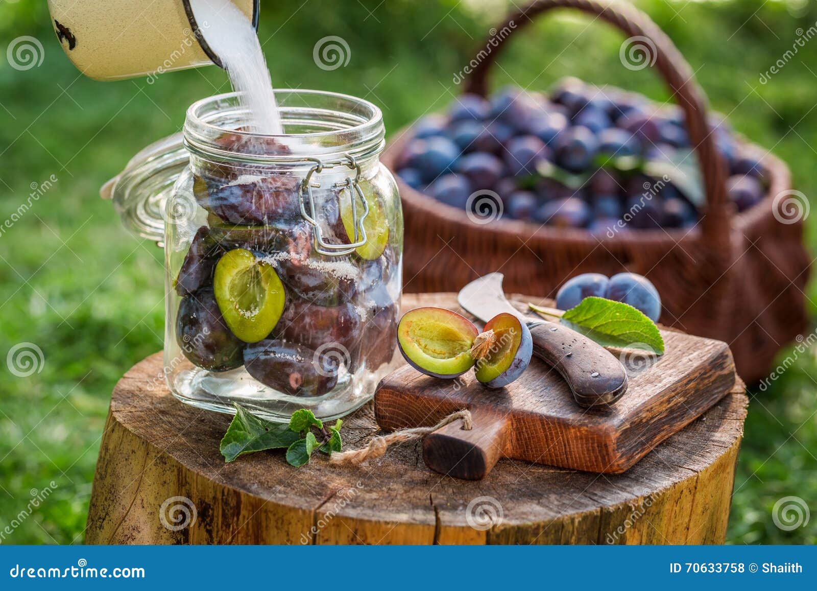 Adding Sugar into Jar with Plums for Compote Stock Photo - Image of ...