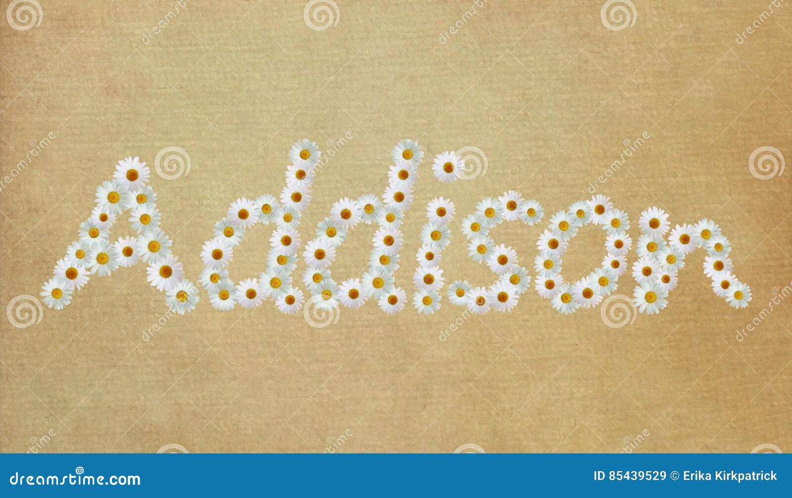 Addison Flower Name illustration stock. Illustration du lame - 85439529