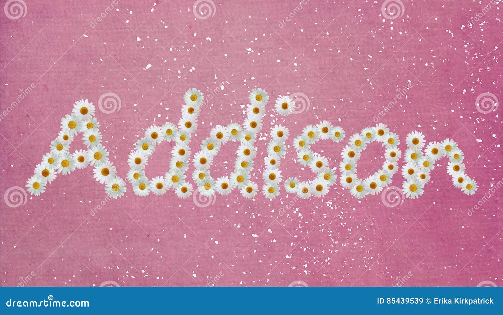 Addison Flower Name stock de ilustración. Ilustración de personalizar ...