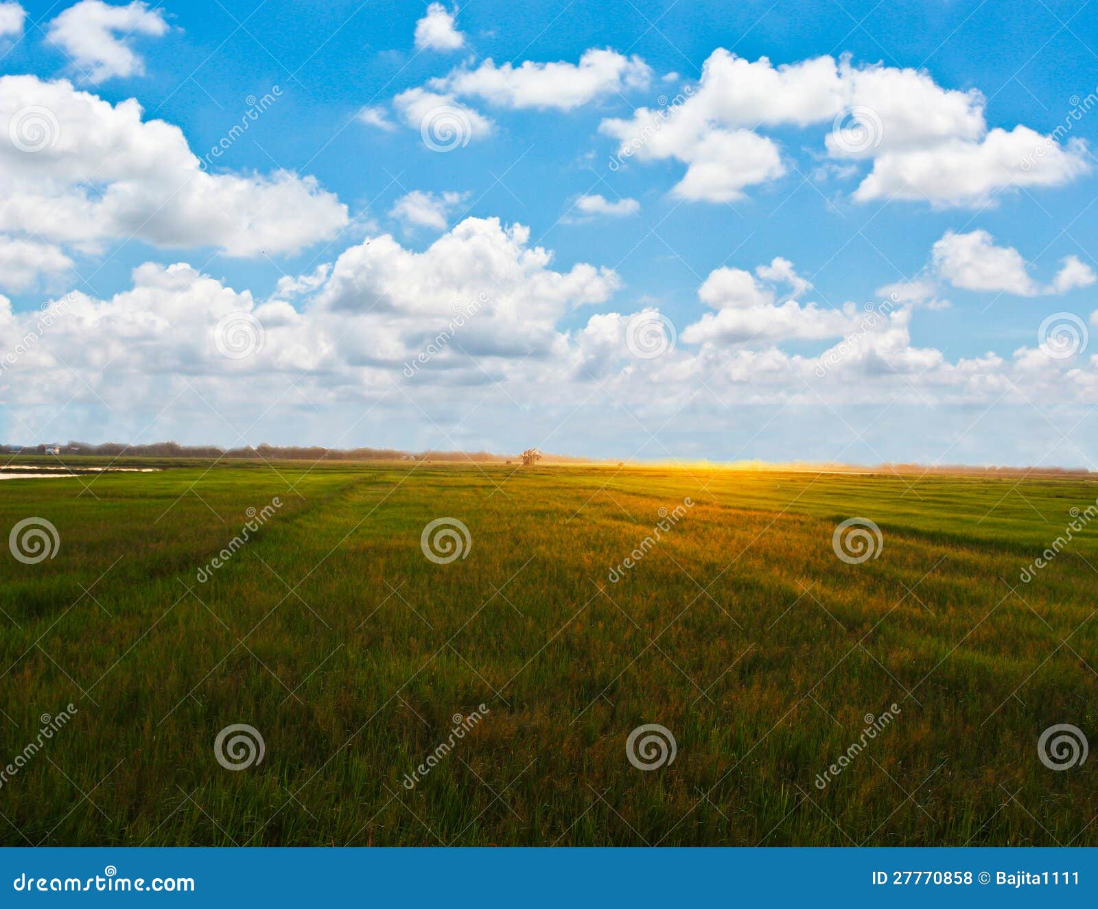 Addy Field with Beautiful Blue Sky Stock Photo - Image of elegant ...