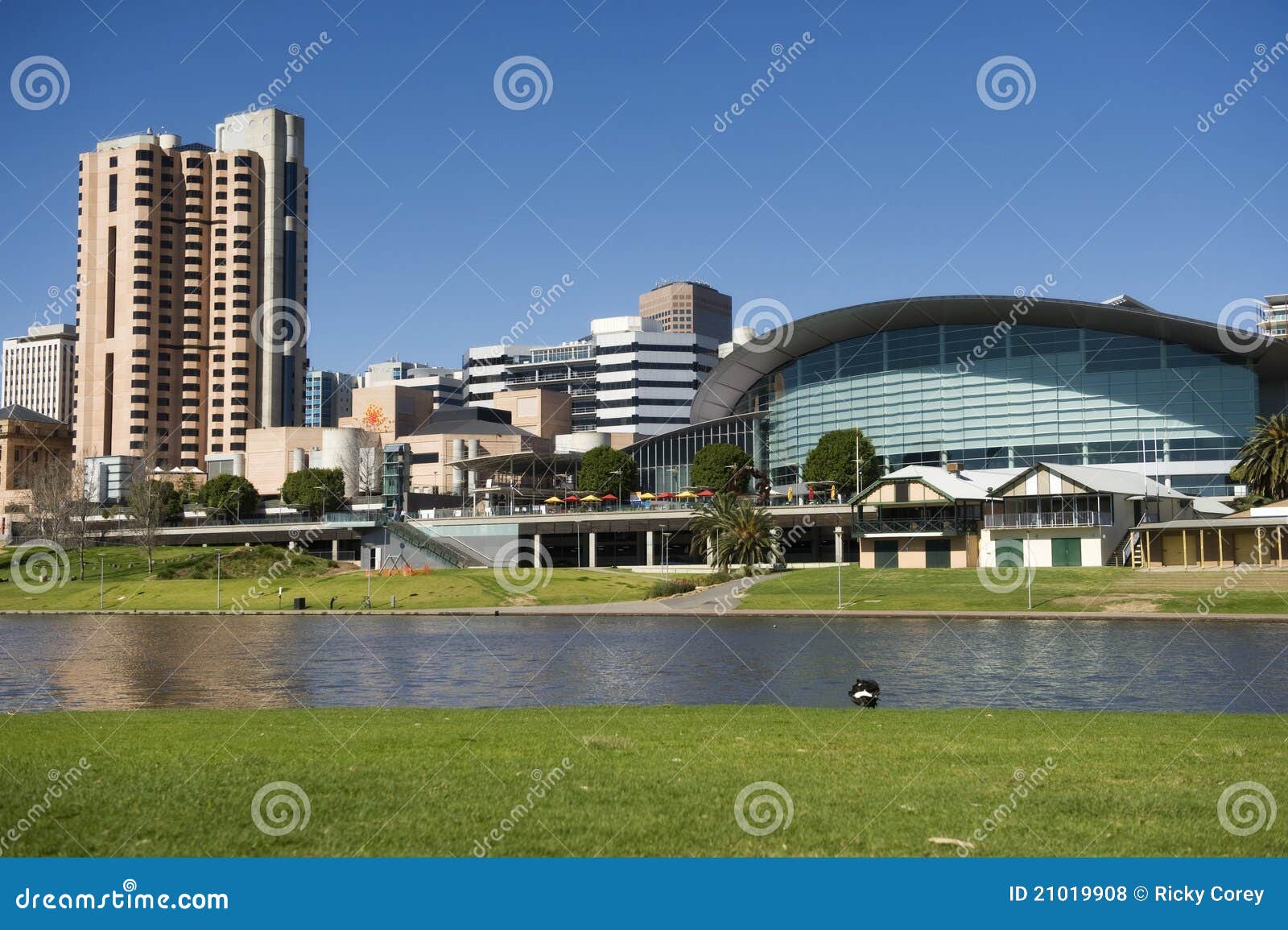 Adelaide stock photo. Image of river, urban, buildings - 21019908