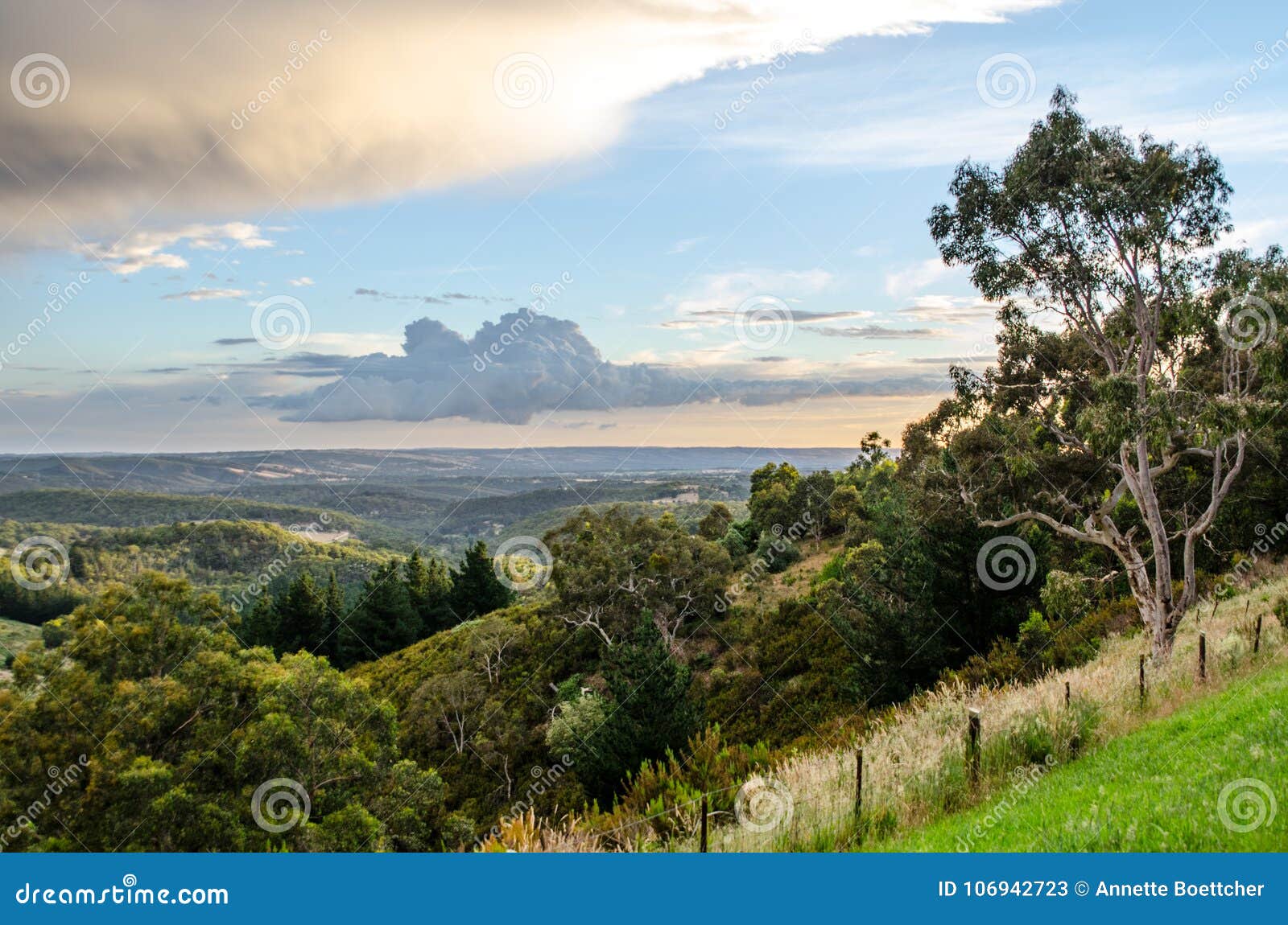 Adelaide Hills View stock image. Image of nature, australia - 106942723