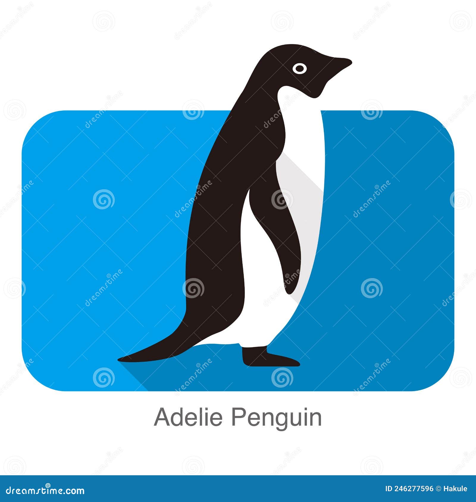 Adelie Penguin Standing, Penguin Series Vector Illustration Stock ...