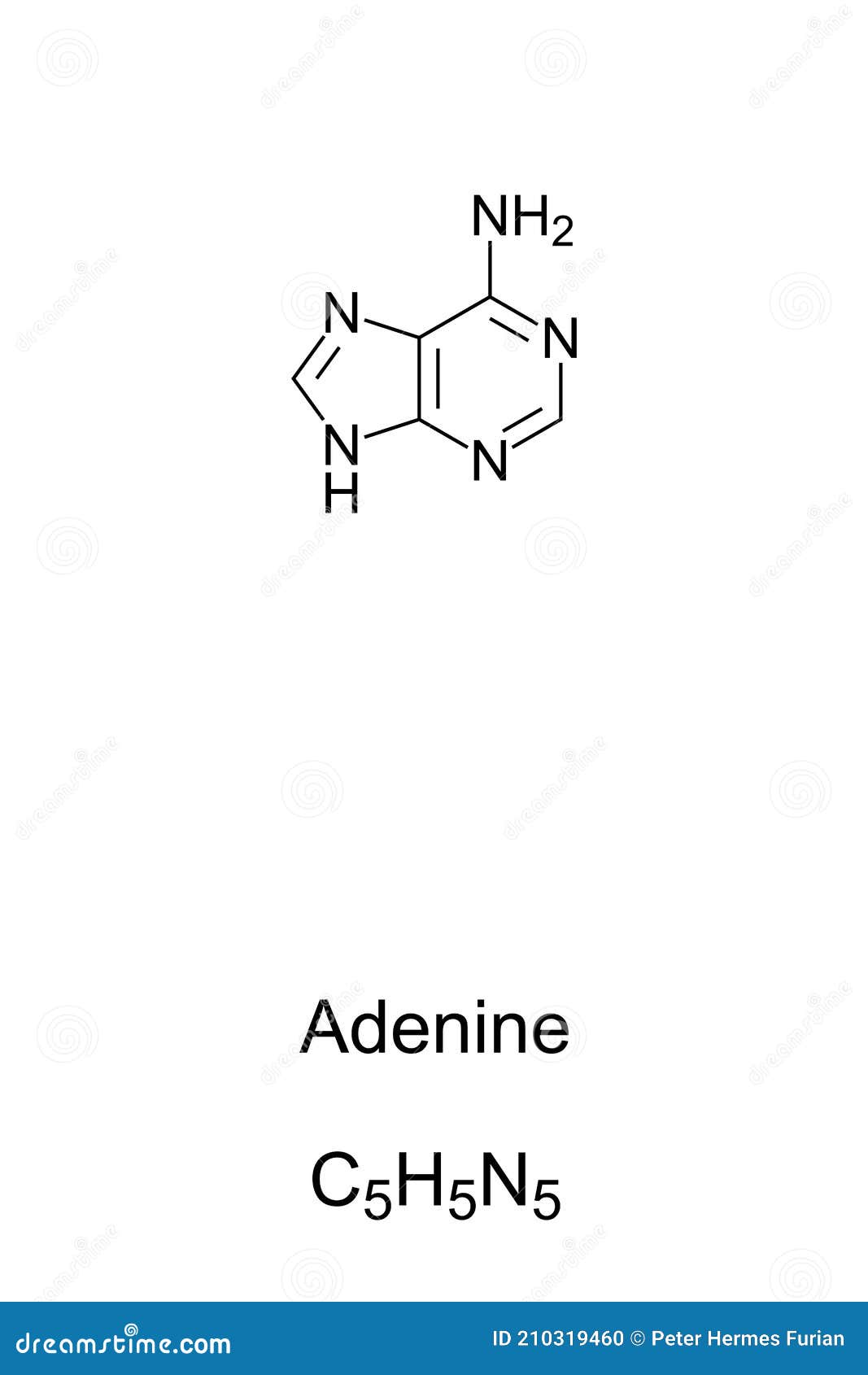 Adenine, a, Ade, Nucleobase, Chemical Formula and Skeletal Structure ...