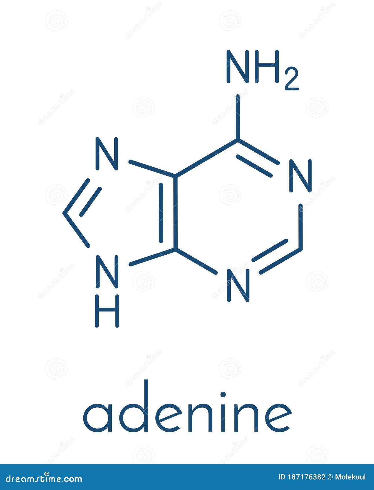 Adenine A Ade Nucleobase Chemical Formula And Skeletal Structure Vector Illustration