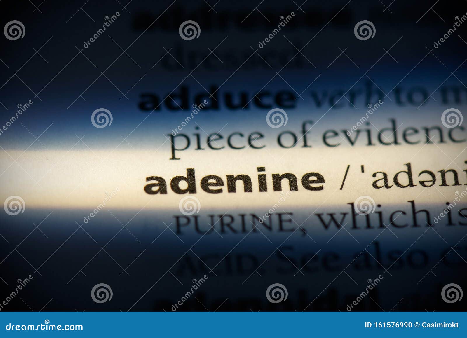 Adenine Definition