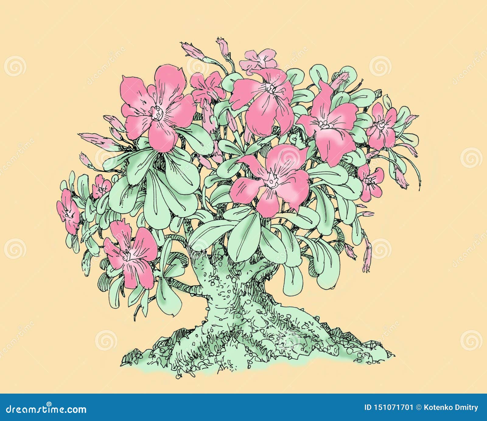 Adenium Rose Of The Desert Ink Drawing Stock Illustration