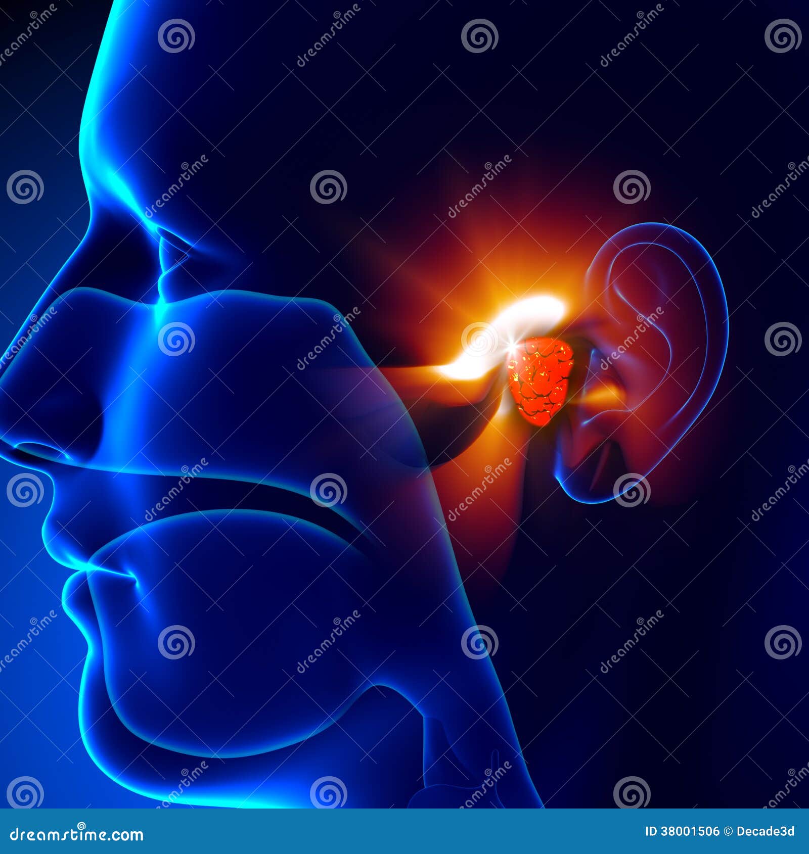 Adenoids - Ear stock illustration. Illustration of medical - 38001506