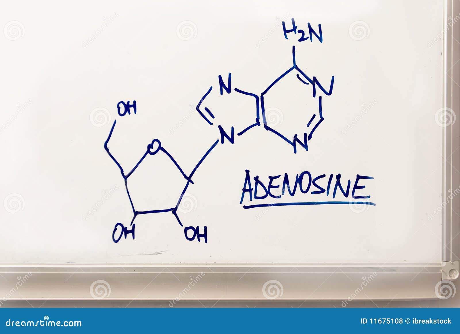 Adenosine stock photo. Image of chemistry, education - 11675108
