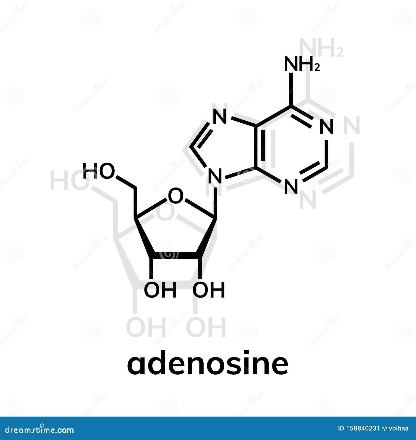 Adenosine Chemical Formula Cartoon Vector | CartoonDealer.com #150840231