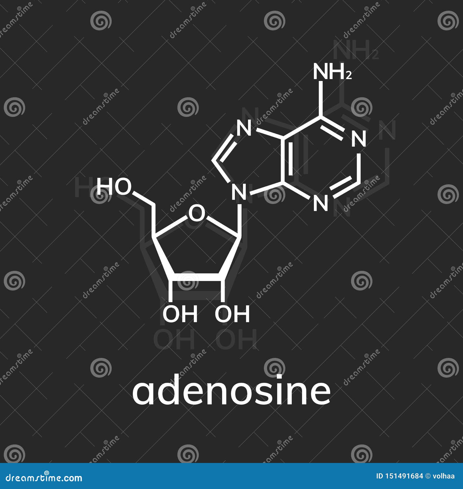 Adenosine chemical formula stock vector. Illustration of biochemistry ...