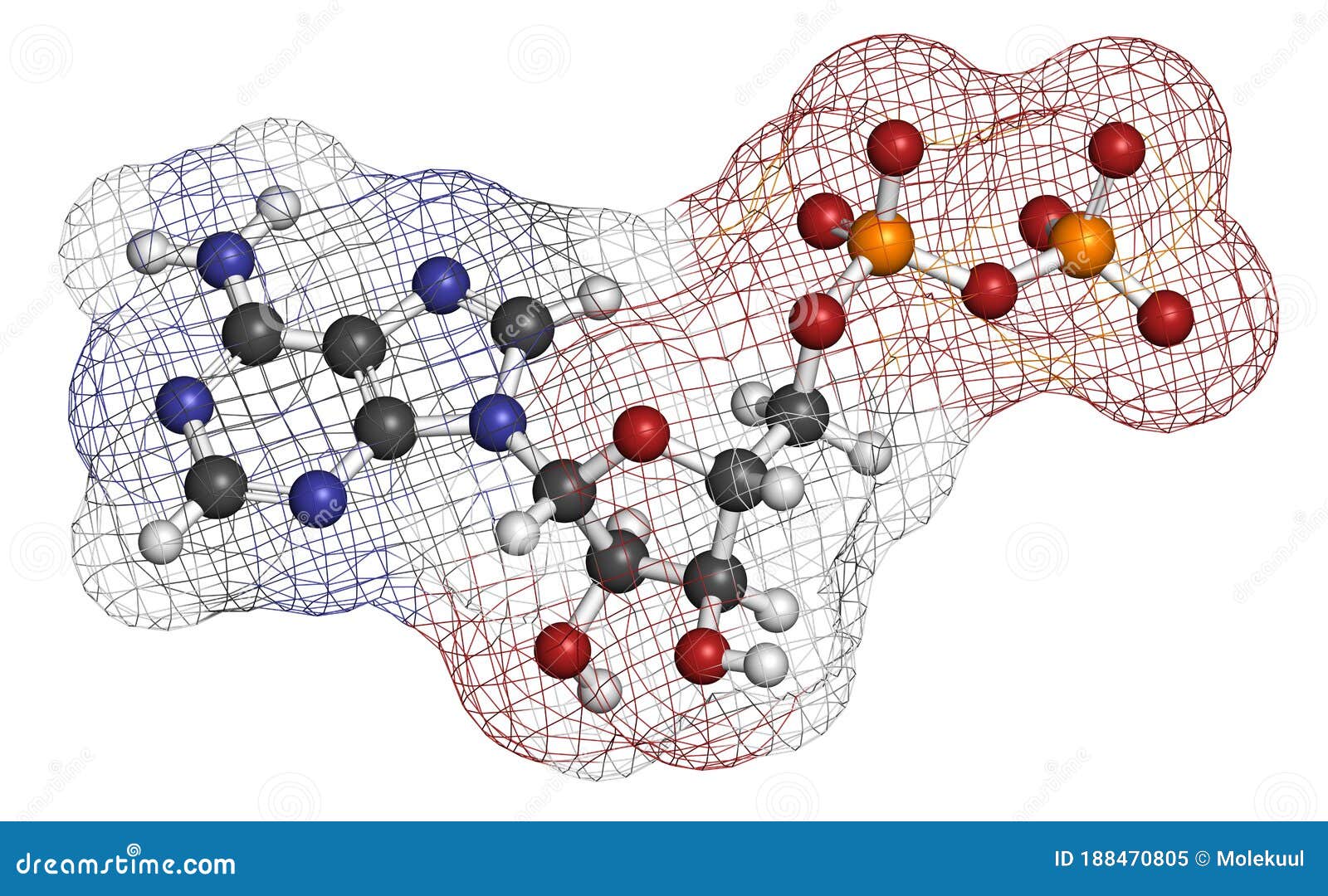 Adenosine Diphosphate (ADP) Molecule. Plays Essential Role in Energy ...