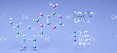 Adenosine Molecule, Molecular Structures, C10h13n5o4 3d Model ...