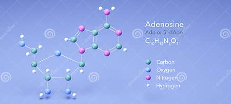 Adenosine Molecule, Molecular Structures, C10h13n5o4 3d Model ...