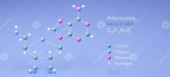 Adenosine Molecule, Molecular Structures, C10h13n5o4 3d Model ...