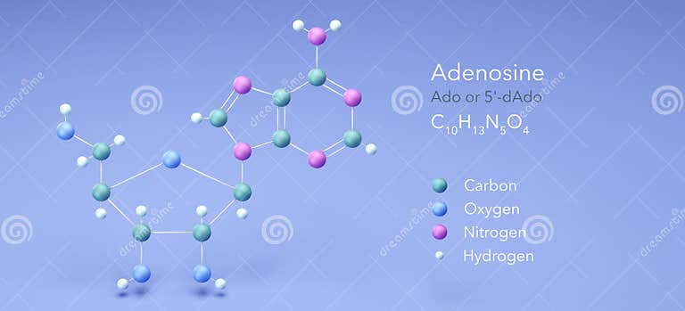 Adenosine Molecule, Molecular Structures, C10h13n5o4 3d Model ...